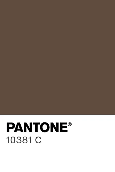 PANTONE 10381 C - Pantone色号库|Pantone潘通中国官网