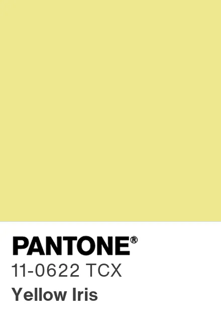 PANTONE 11-0622 TCX Yellow Iris - Pantone色号库|Pantone潘通中国官网