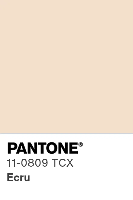 PANTONE 11-0809 TCX Ecru - Pantone色号库|Pantone潘通中国官网