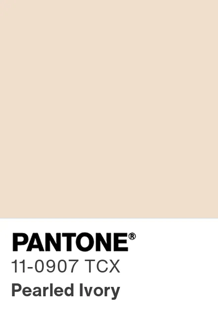 PANTONE 11-0907 TCX Pearled Ivory - Pantone色号库|Pantone潘通中国官网