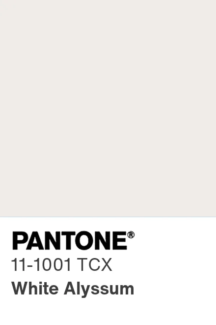 PANTONE 11-1001 TCX White Alyssum - Pantone色号库|Pantone潘通中国官网