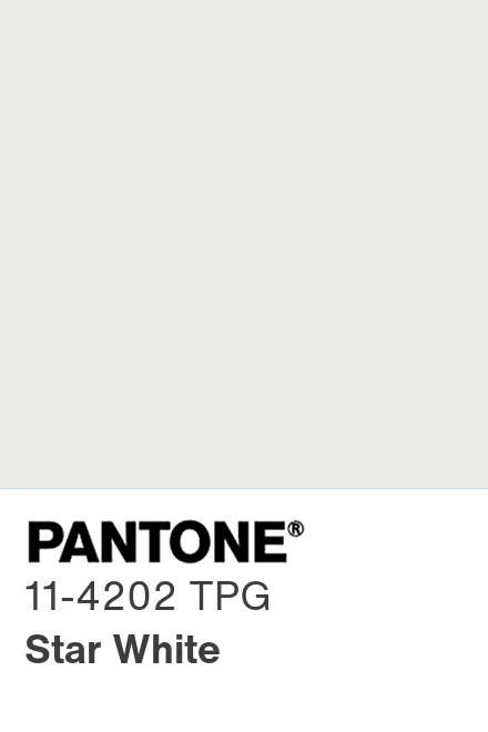PANTONE 11-4202 TPG Star White - Pantone色号库|Pantone潘通中国官网