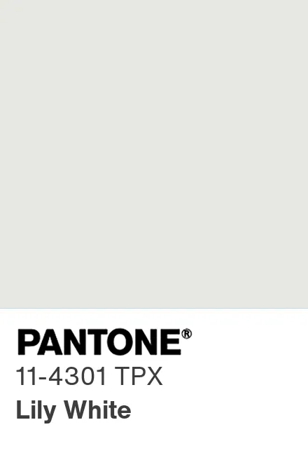 PANTONE 11-4301 TPG Lily White - Pantone色号库|Pantone潘通中国官网