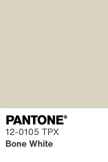 PANTONE 12-0105 TPG Bone White - Pantone色号库|Pantone潘通中国官网