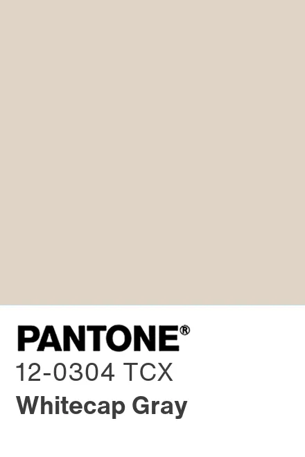 PANTONE 12-0304 TCX Whitecap Gray - Pantone色号库|Pantone潘通中国官网