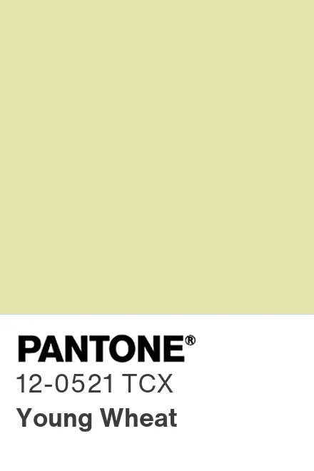 PANTONE 12-0521 TCX Young Wheat - Pantone色号库|Pantone潘通中国官网