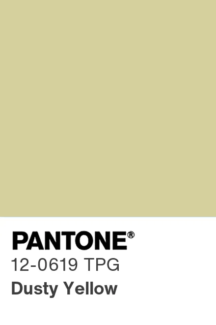 PANTONE 12-0619 TPG Dusty Yellow - Pantone色号库|Pantone潘通中国官网