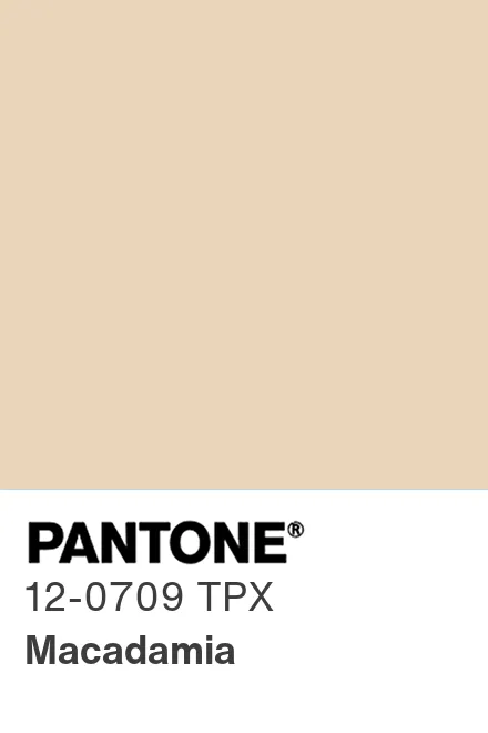 PANTONE 12-0709 TPG Macadamia - Pantone色号库|Pantone潘通中国官网