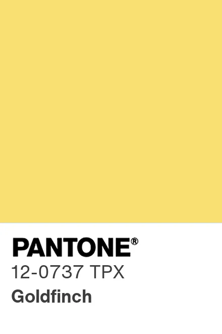 PANTONE 12-0737 TPG Goldfinch - Pantone色号库|Pantone潘通中国官网