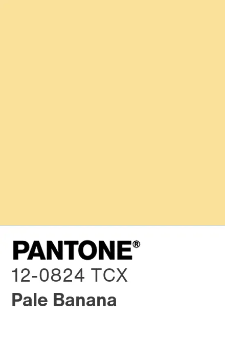 PANTONE 12-0824 TCX Pale Banana - Pantone色号库|Pantone潘通中国官网