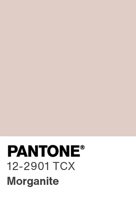 PANTONE 12-2901 TCX Morganite - Pantone色号库|Pantone潘通中国官网
