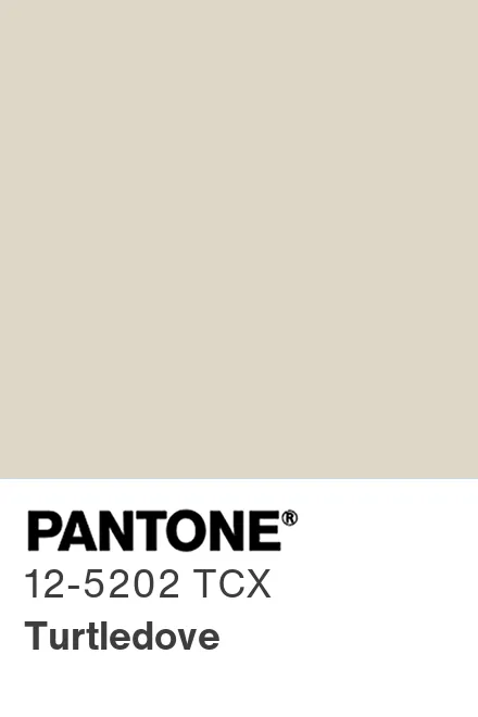 PANTONE 12-5202 TCX Turtledove - Pantone色号库|Pantone潘通中国官网