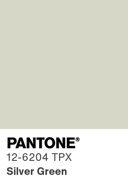 PANTONE 12-6204 TPG Silver Green - Pantone色号库|Pantone潘通中国官网