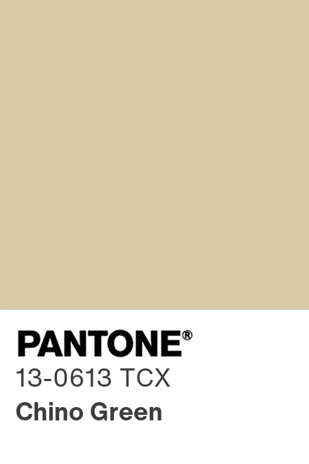 PANTONE 13-0613 TCX Chino Green - Pantone色号库|Pantone潘通中国官网