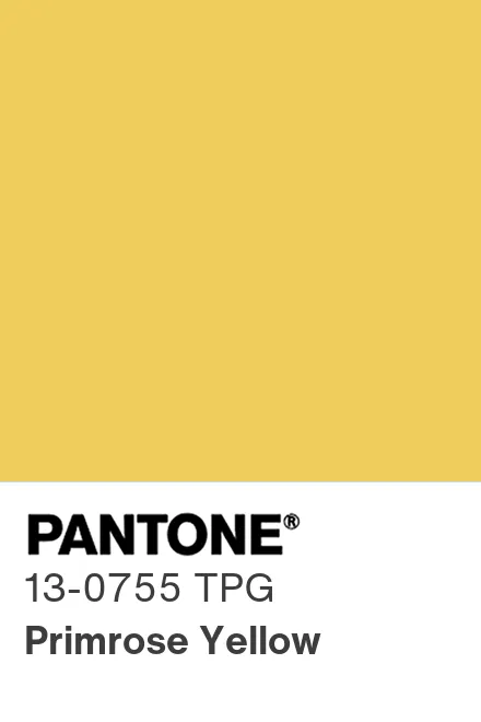 PANTONE 13-0755 TPG Primrose Yellow - Pantone色号库|Pantone潘通中国官网