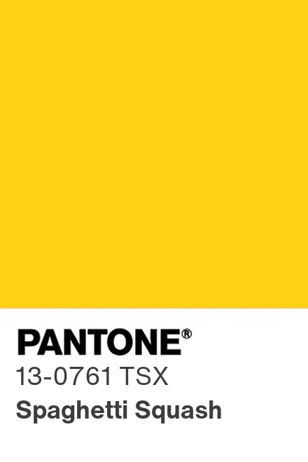 PANTONE 13-0761 TSX Spaghetti Squash - Pantone色号库|Pantone潘通中国官网
