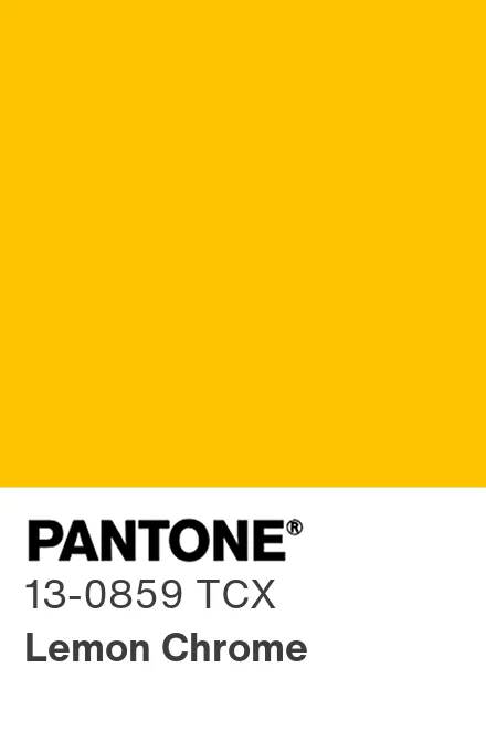PANTONE 13-0859 TCX Lemon Chrome - Pantone色号库|Pantone潘通中国官网