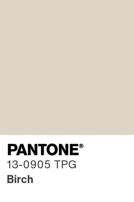 PANTONE 13-0905 TPG Birch - Pantone色号库|Pantone潘通中国官网