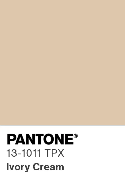 PANTONE 13-1011 TPG Ivory Cream - Pantone色号库|Pantone潘通中国官网