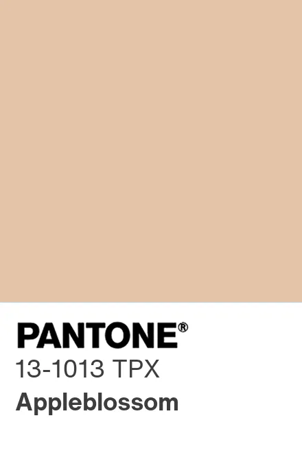 PANTONE 13-1013 TPG Appleblossom - Pantone色号库|Pantone潘通中国官网