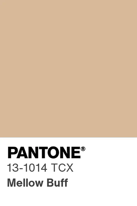 PANTONE 13-1014 TCX Mellow Buff - Pantone色号库|Pantone潘通中国官网