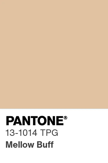 PANTONE 13-1014 TPG Mellow Buff - Pantone色号库|Pantone潘通中国官网