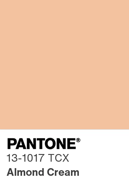 PANTONE 13-1017 TCX Almond Cream - Pantone色号库|Pantone潘通中国官网