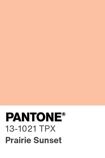 PANTONE 13-1021 TPG Prairie Sunset - Pantone色号库|Pantone潘通中国官网