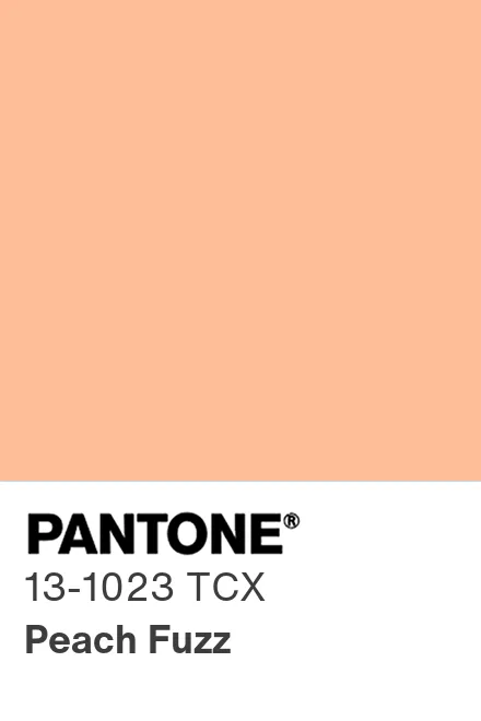 PANTONE 13-1023 TCX Peach Fuzz - Pantone色号库|Pantone潘通中国官网