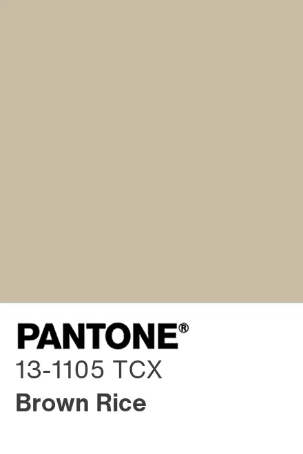 PANTONE 13-1105 TCX Brown Rice - Pantone色号库|Pantone潘通中国官网