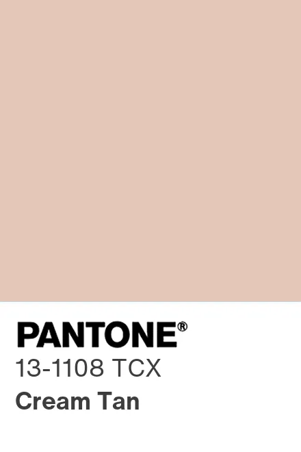 PANTONE 13-1108 TCX Cream Tan - Pantone色号库|Pantone潘通中国官网