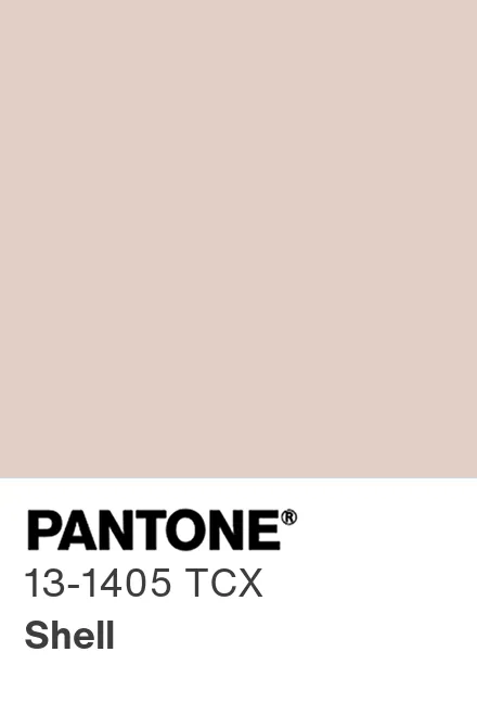 PANTONE 13-1405 TCX Shell - Pantone色号库|Pantone潘通中国官网