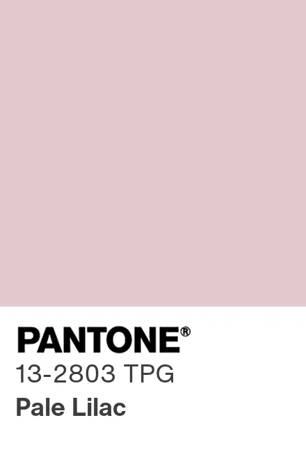 PANTONE 13-2803 TPG Pale Lilac - Pantone色号库|Pantone潘通中国官网