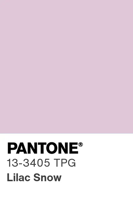 PANTONE 13-3405 TPG Lilac Snow - Pantone色号库|Pantone潘通中国官网