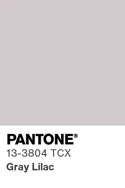 PANTONE 13-3804 TCX Gray Lilac - Pantone色号库|Pantone潘通中国官网