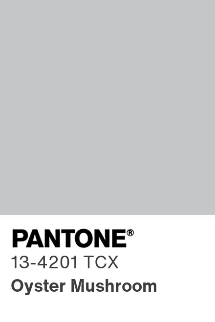 PANTONE 13-4201 TCX Oyster Mushroom - Pantone色号库|Pantone潘通中国官网