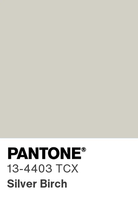 PANTONE 13-4403 TCX Silver Birch - Pantone色号库|Pantone潘通中国官网