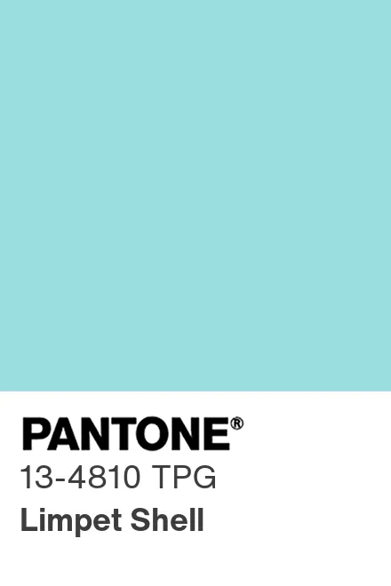 PANTONE 13-4810 TPG Limpet Shell - Pantone色号库|Pantone潘通中国官网