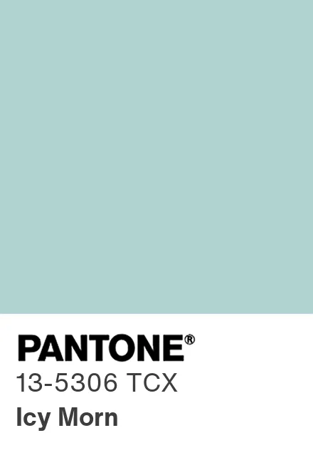 PANTONE 13-5306 TCX Icy Morn - Pantone色号库|Pantone潘通中国官网