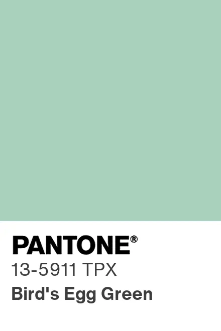 PANTONE 13-5911 TPG Bird's Egg Green - Pantone色号库|Pantone潘通中国官网