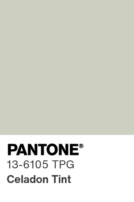 PANTONE 13-6105 TPG Celadon Tint - Pantone色号库|Pantone潘通中国官网