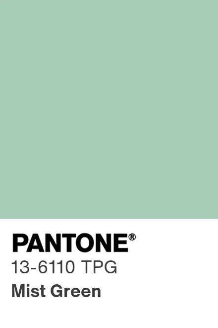 PANTONE 13-6110 TPG Mist Green - Pantone色号库|Pantone潘通中国官网