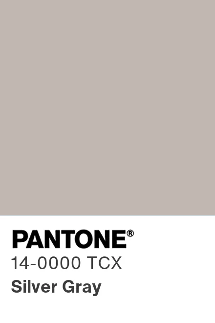 PANTONE 14-0000 TCX Silver Gray - Pantone色号库|Pantone潘通中国官网