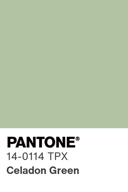 PANTONE 14-0114 TPG Celadon Green - Pantone色号库|Pantone潘通中国官网