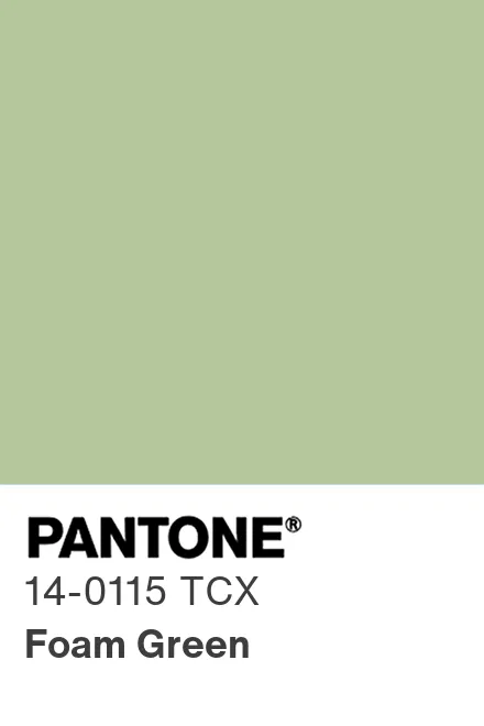 PANTONE 14-0115 TCX Foam Green - Pantone色号库|Pantone潘通中国官网