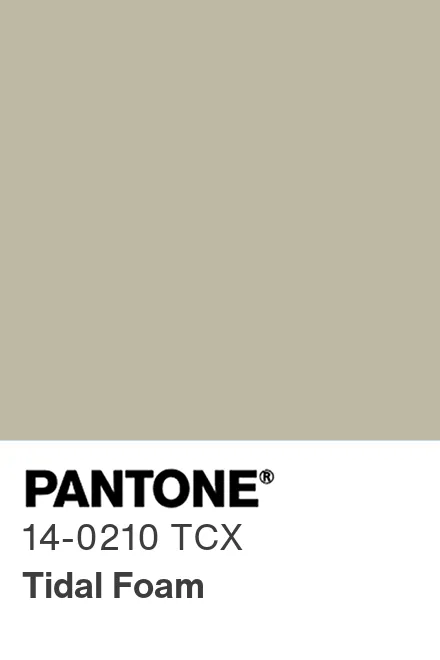 PANTONE 14-0210 TCX Tidal Foam - Pantone色号库|Pantone潘通中国官网