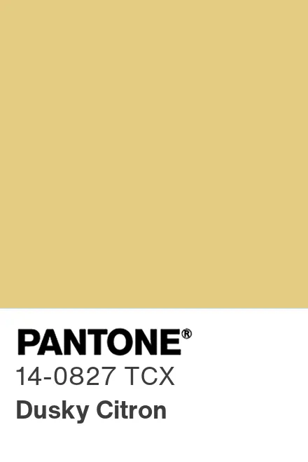 PANTONE 14-0827 TCX Dusky Citron - Pantone色号库|Pantone潘通中国官网