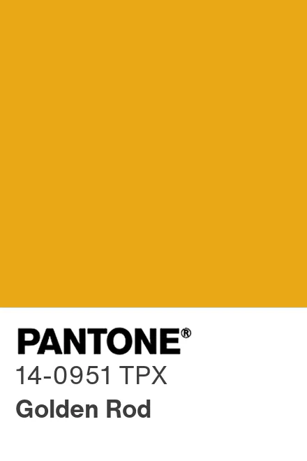 PANTONE 14-0951 TPG Golden Rod - Pantone色号库|Pantone潘通中国官网