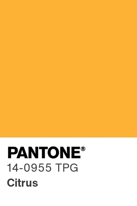 PANTONE 14-0955 TPG Citrus - Pantone色号库|Pantone潘通中国官网