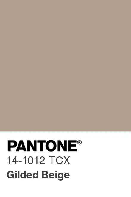 PANTONE 14-1012 TCX Gilded Beige - Pantone色号库|Pantone潘通中国官网
